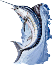 Marlin Manufacturing - News